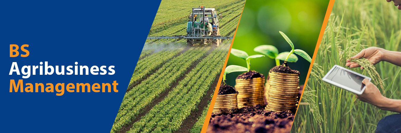 School of Food and Agricultural Sciences (SFAS) - UMT, Lahore