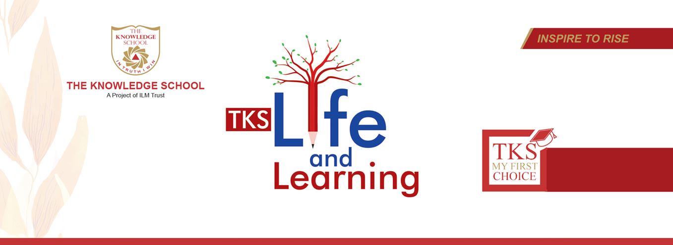 The Knowledge School Network